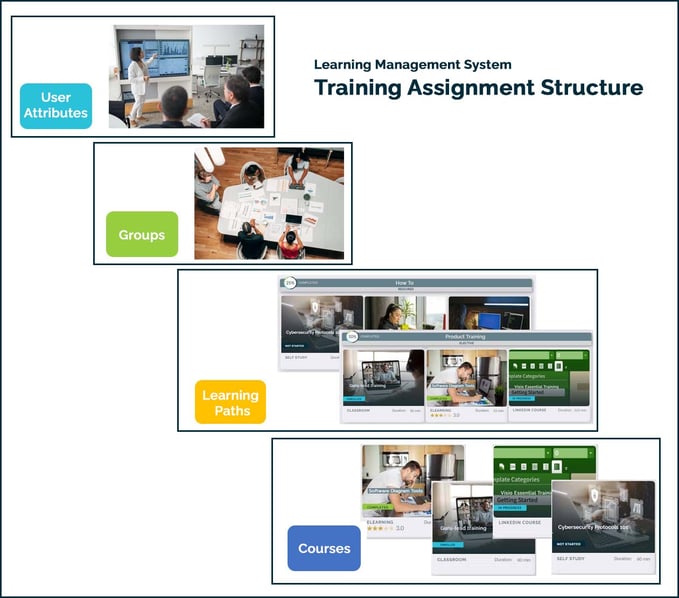 How is training assigned and structured in the LMS?